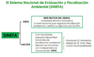 ¿Sabes de qué se encarga la SINEFA? 🏛📜 - Normativa Ambiental
