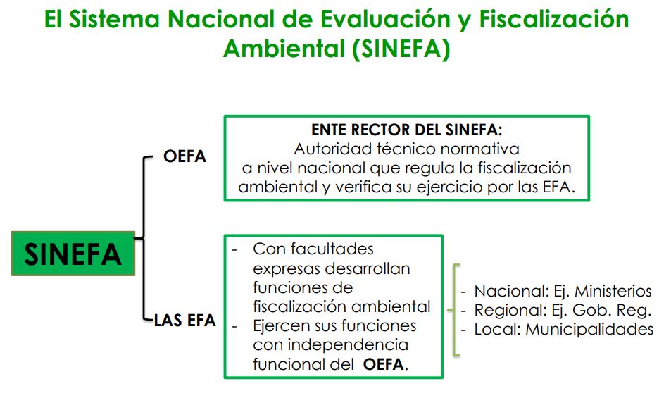 ¿Sabes de qué se encarga la SINEFA? 🏛📜 - Normativa Ambiental