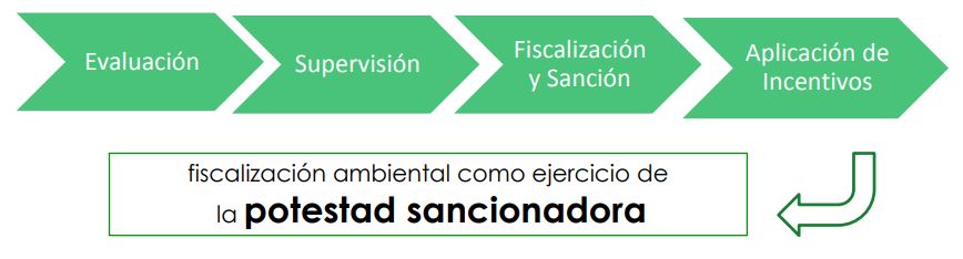 ¿Sabes de qué se encarga la SINEFA? 🏛📜 - Normativa Ambiental