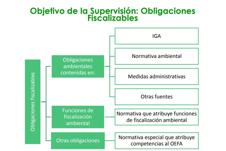 ¿Sabes de qué se encarga la SINEFA? 🏛📜 - Normativa Ambiental