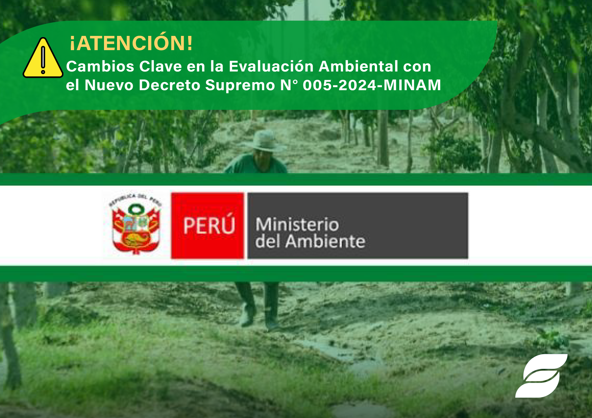 ️🌟 ¡Atención! Cambios Clave en la Evaluación Ambiental con el Nuevo Decreto Supremo N° 005-2024 ...